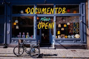 Getting Started with DocumentDB: A Beginner’s Guide - Coding with SavranWeb